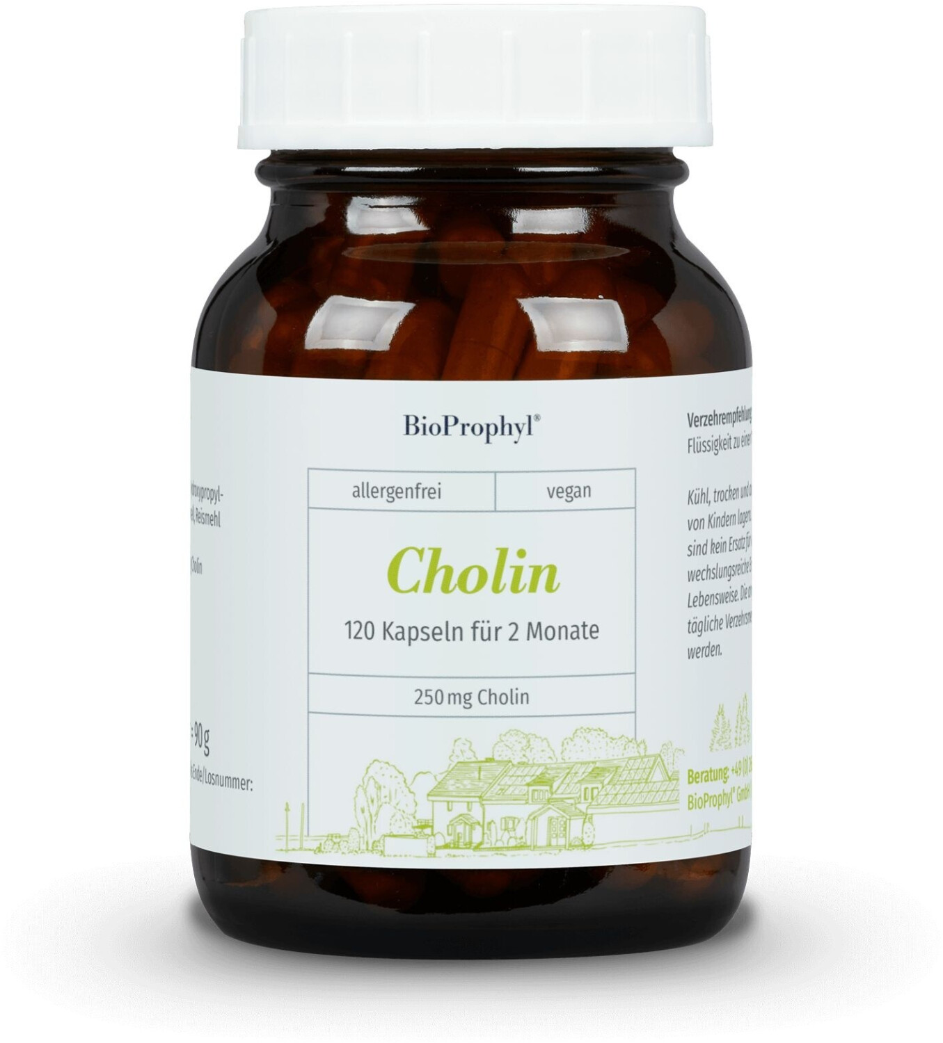 BioProphyl Cholin 250 mg Kapseln 120 Stk. ab 21,95 € | Preisvergleich ...