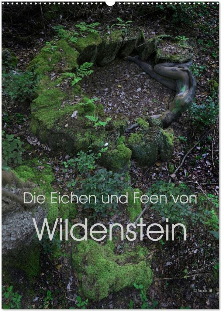 Calvendo Die Eichen und Feen von Wildenstein (Wandkalender 2026 DIN A2 hoch), Monatskalender ...