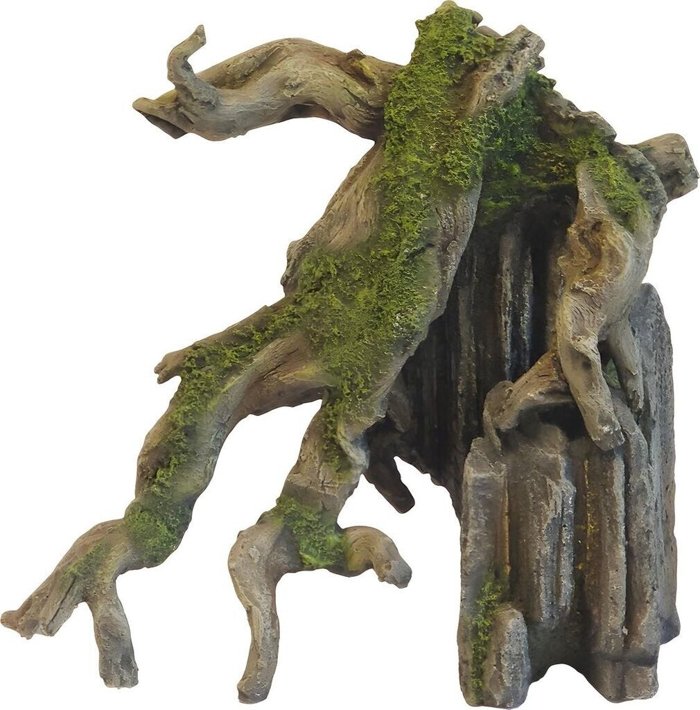 Nobby Mangrove on Rock 34.5 x 16 x 33 cm au meilleur prix sur idealo.fr