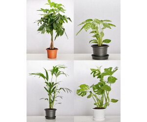 Garronda Terracotta Blumentopf rund aus Kunststoff Pflanzentopf für ...