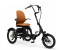 Fafrees F20 Mate II E Dreirad Grau ab 2.299,99 € | Preisvergleich bei ...