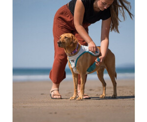 Non-stop dogwear Cooling Vest hellgrau/blau Gr. S ab 56.96 ...