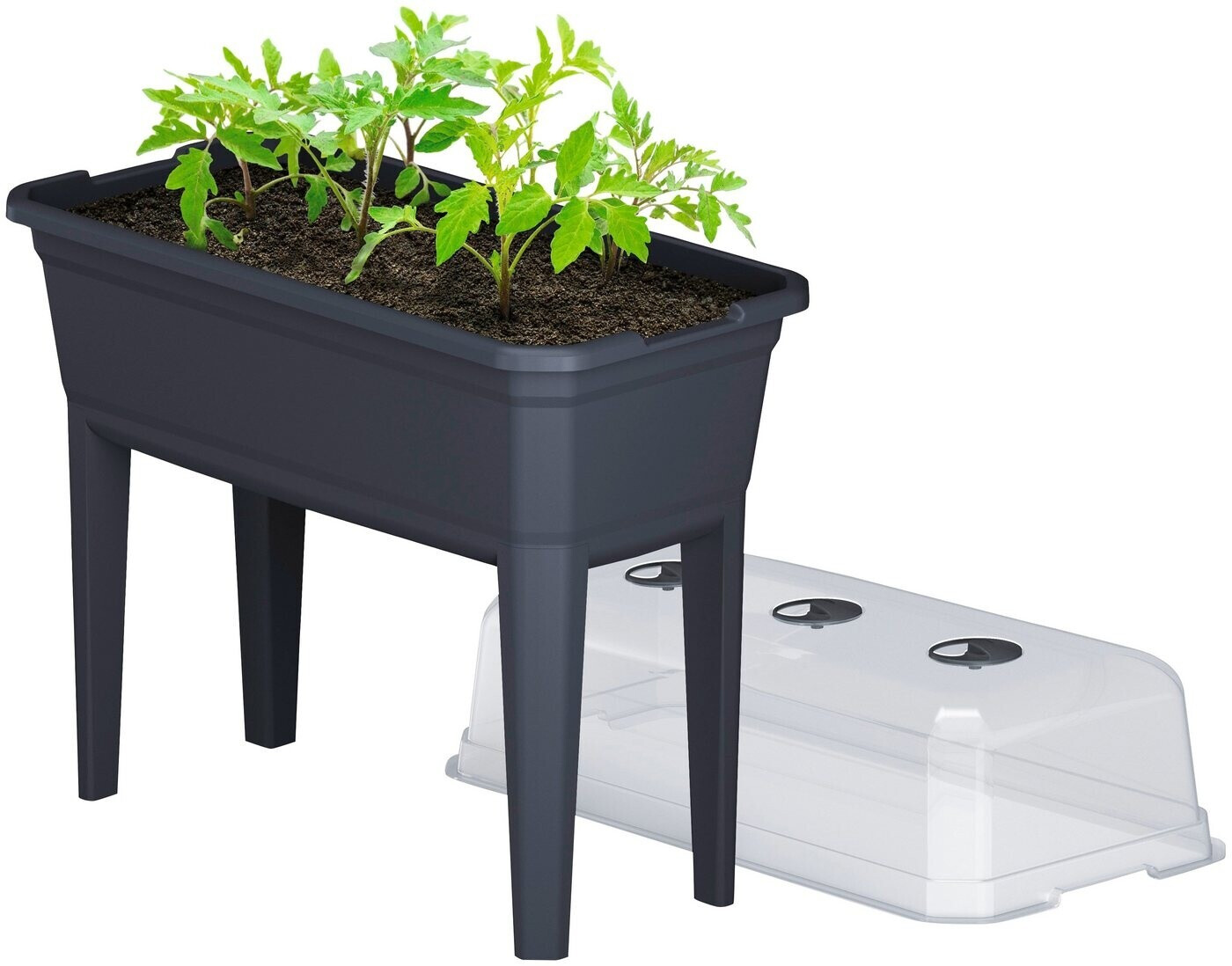 Prosperplast Hochbeet Respana Ecoline Set 74,6x36,8x75,3cm 3in1 Set ab ...