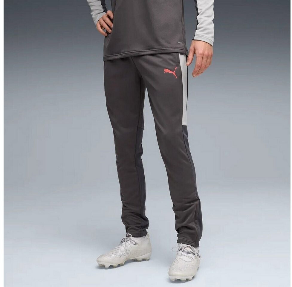 Puma IndividualLIGA Training Pants (660572) strong gray/puma red/gray ...
