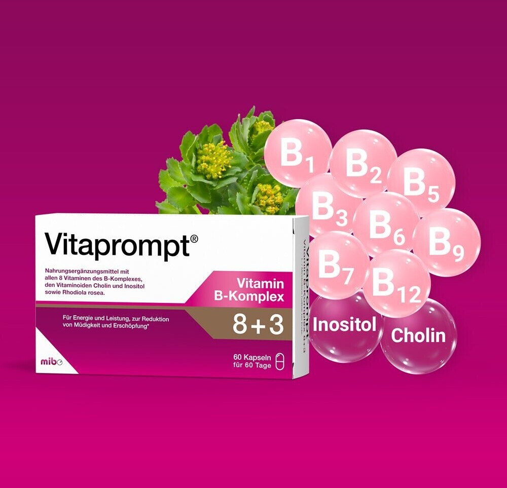 Mibe Vitaprompt Vita B-Komp 8+3 60 St ab 11.98 € | Vergleiche 31 ...