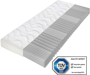 BeCo Double Deluxe 20 100x200cm H3 Polyester Bezug ab 159.7 ...