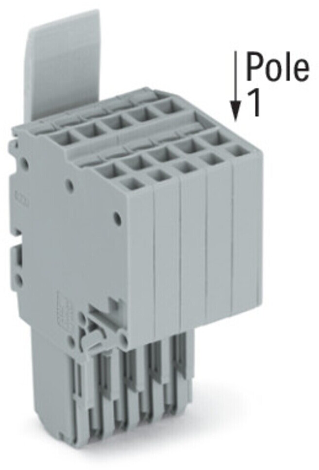 Wago 2-Leiter-Federleiste Push-in CAGE CLAMP 1,5mm² grau (2020-205/124 ...