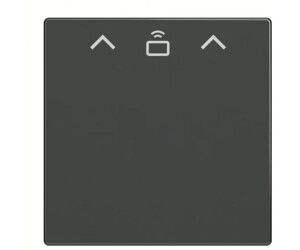 Busch-Jaeger 1792 RFID-81 Cardschalter-Abdeckung Future RFID anthrazit ...