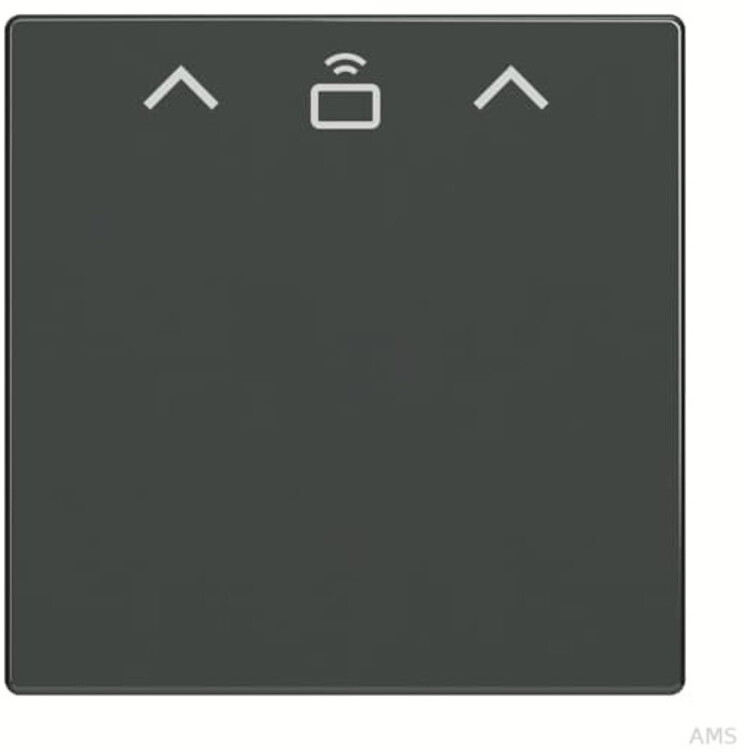 Busch-Jaeger 1792 RFID-81 Cardschalter-Abdeckung Future RFID anthrazit ...