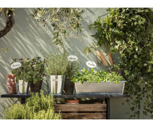 Dehner Zink-Blumenkasten Metall, Hellgrau, 50x17x13cm (1538875) ab 15 ...