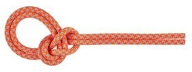 Mammut 8.7 Crag Sender Dry Rope 60 m (rosa) ab 174,90 ...