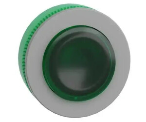 Schneider Electric Leuchtdrucktaster grün 30mm rastend (ZB5FH33C0) ab ...