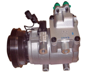 Mahle Kompressor Klimaanlage BEHR Premium Line ACP 1224 000P ab 271,90 ...