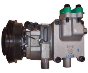 Mahle Kompressor Klimaanlage BEHR Premium Line ACP 1224 000P ab 271,90 ...