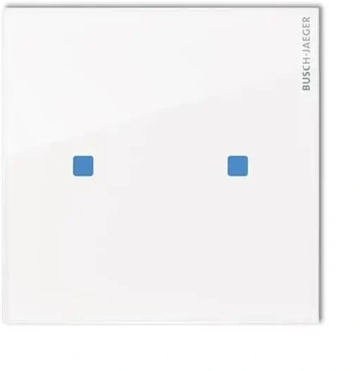 Busch-Jaeger TB/U2.4.11-CG Touch-Bedienelement 2-fach, konfigurierbares ...