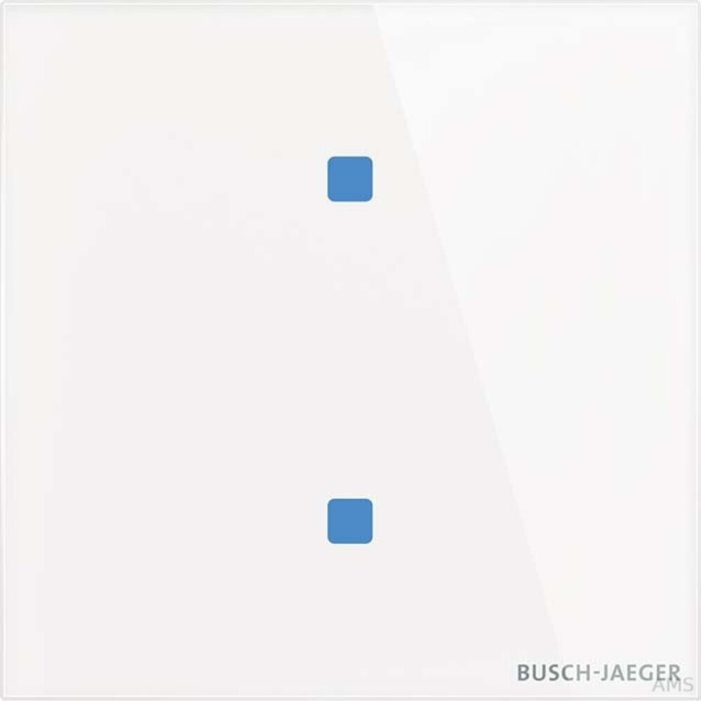 Busch-Jaeger TB/U2.4.11-CG Touch-Bedienelement 2-fach, konfigurierbares ...