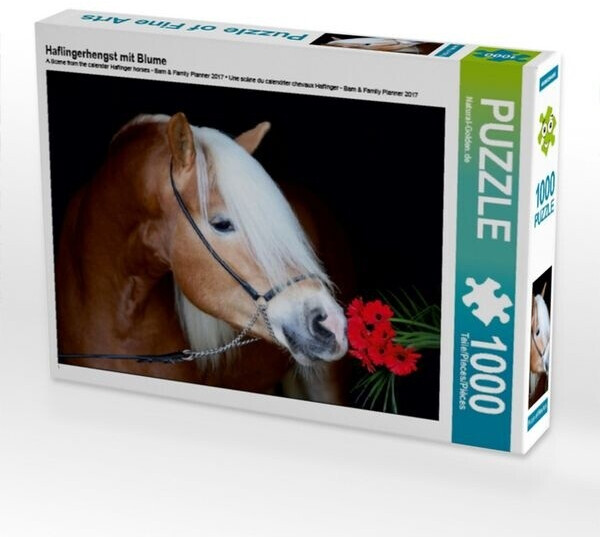 Calvendo Haflingerhengst mit Blume Foto-Puzzle 1000 Teile, 64x48cm ab ...