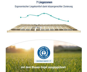 BeCo Blue Royal KF Lattenrost 7-Zonen 100x200cm, 42 Leisten ...