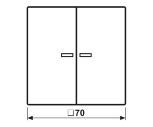 Jung Bike ME2995KO5C Wippe 2-fach mit Lichtleiter, Serie LS, messing ...