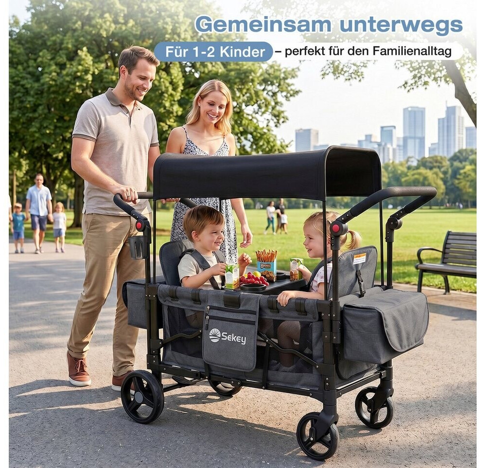 Sekey Luxer 6060 Bollerwagen faltbar mit Dach, Doppelsitz, 5-Punkt ...