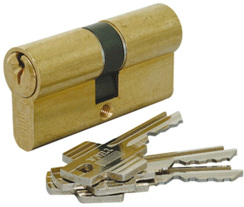 tesa Cylindre de Serrure TE5 30x30mm laiton (50303030L) au meilleur ...
