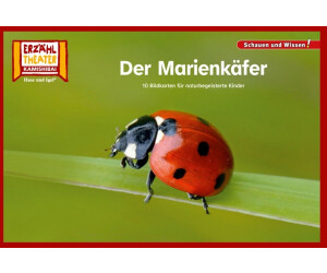 Hase und Igel Der Marienkäfer – Kamishibai Bildkarten, 10 ...