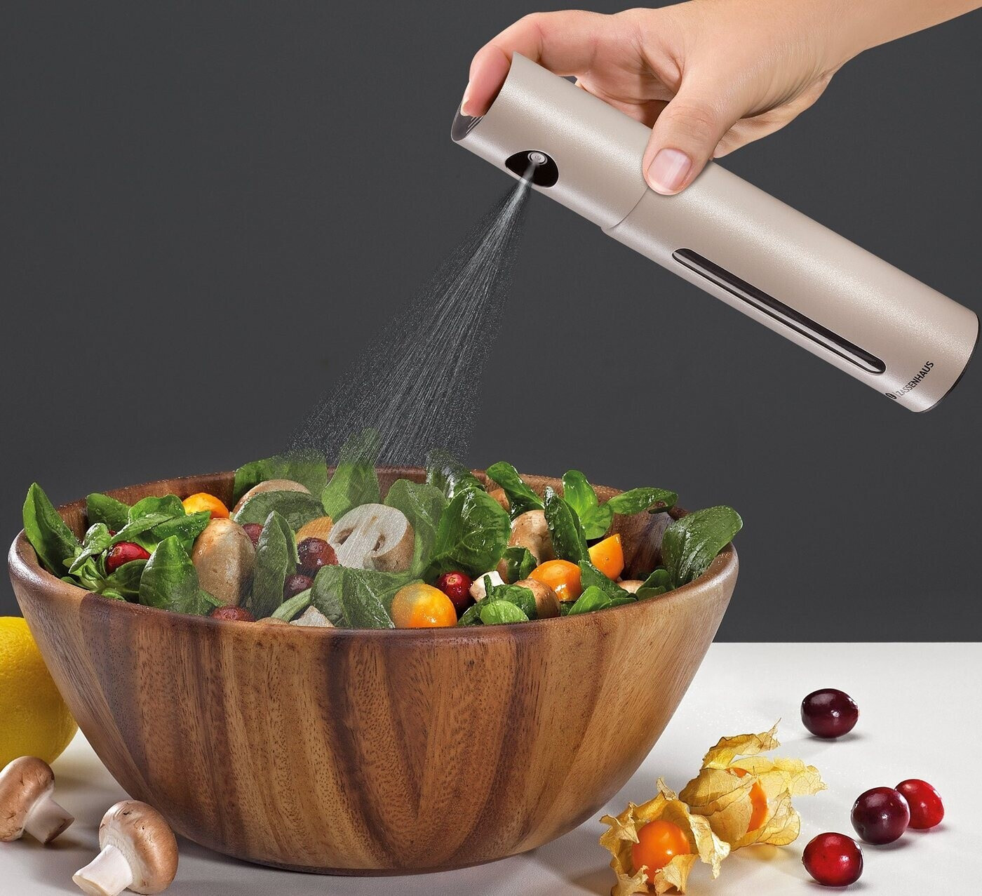 Zassenhaus Oleon Vaporisateur Huile et Vinaigre, Verre et Inox, gris ...