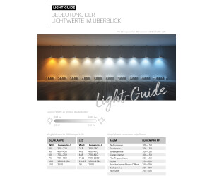 Trio Maas Außenwandleuchte Downlight grün, Metall, IP44 (262460115) ab ...