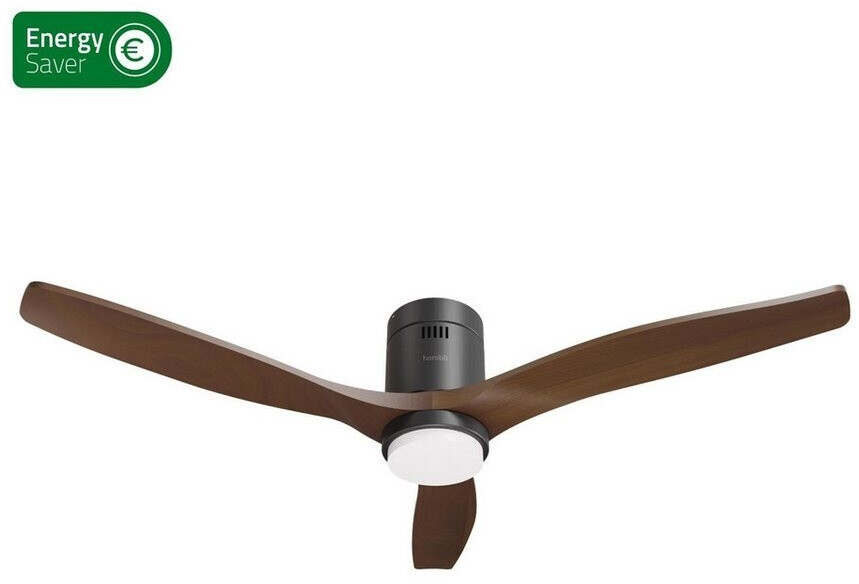 Hombli Smart Deckenventilator mit RGB-LED-Licht, WLAN (HBCF-0140) ab ...