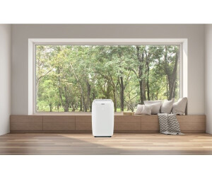Zephir ZPO12000 Condizionatore Portatile 12000 BTU Classe A (ZPO12000 ...