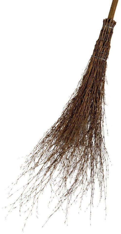 Floraworld Reisigbesen Bambus mit Stiel, 220cm (10685) ab 9,98 ...