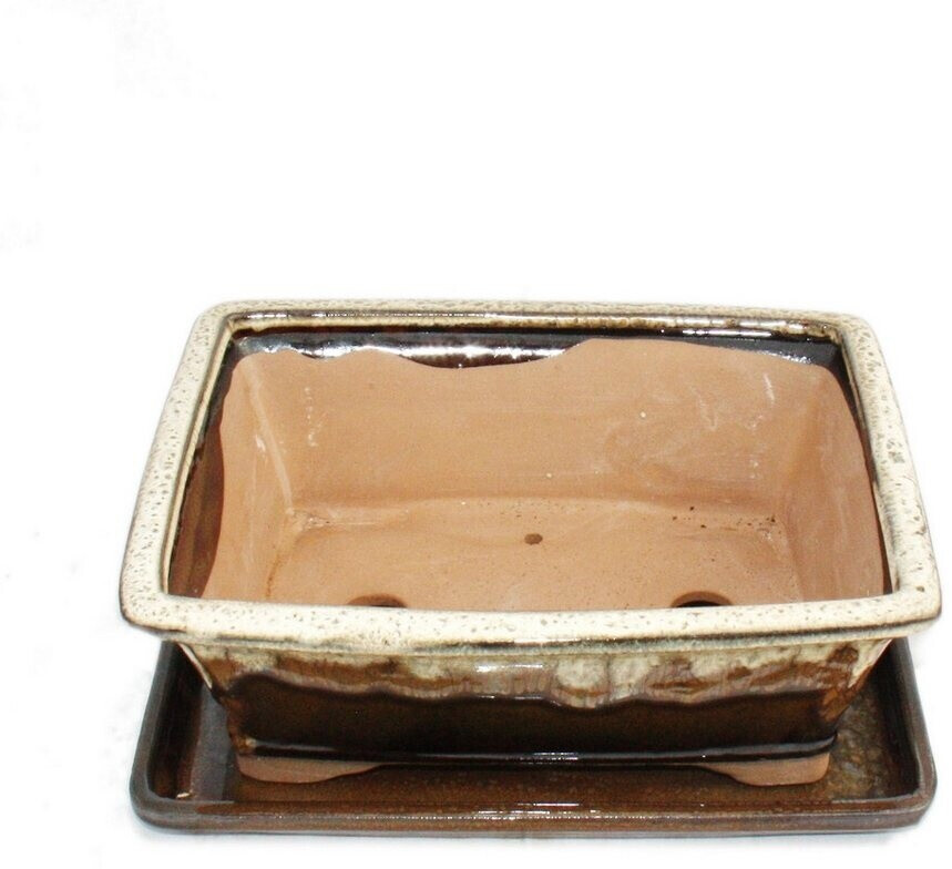 Exotenherz Bonsai-Schale mit Unterteller rechteckig braun/beige 25,5×20 ...