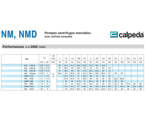 Calpeda NMM 2/S/A Pompe Centrifuge Monophasée 1,1kW (6012003100000) au ...