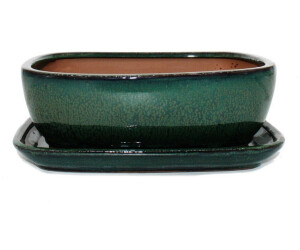 Exotenherz Bonsai-Schale mit Unterteller Gr. 4, grün, rechteckig (GB5 ...