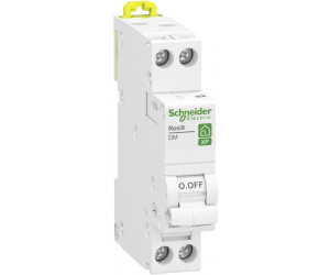 Schneider Electric Resi9 XP Disjoncteur Modulaire 1P+N 32A Courbe D ...