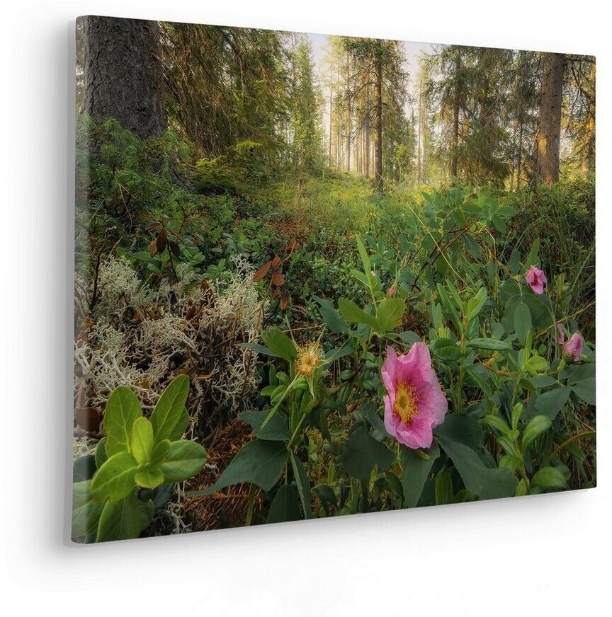 Komar Charming Woods Leinwandbild, Echtholzrahmen, 60x40cm (KR027-SH ...