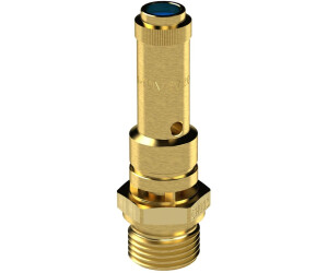 Riegler Sicherheitsventil DN8, Messing, G 3/8, 28bar (226.02-28,0) ab ...