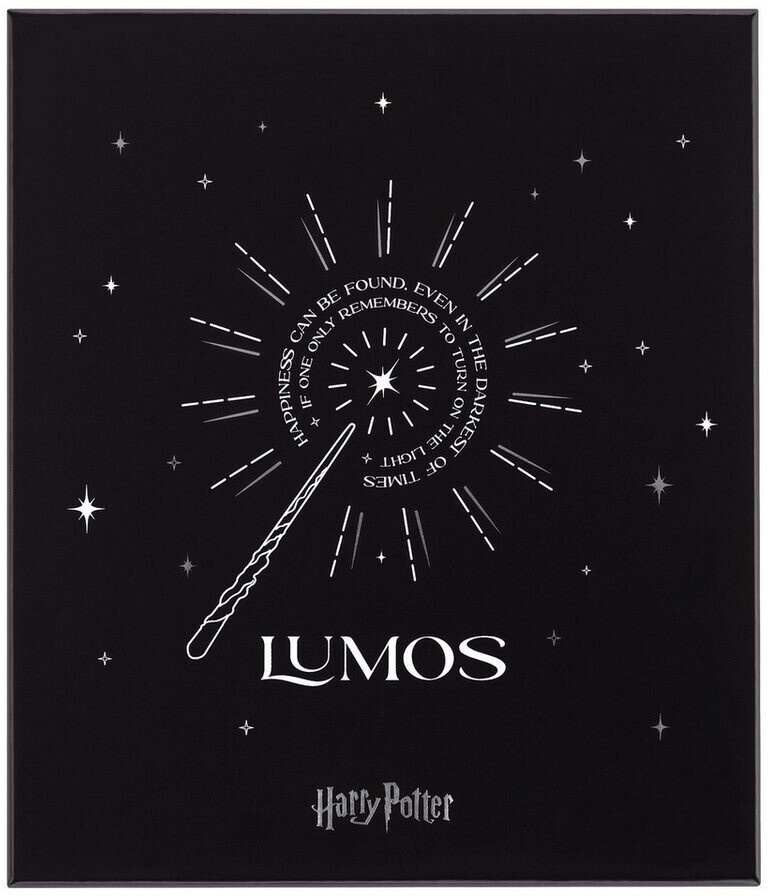 Moleskine Harry Potter Gift Box, Notizbuch Hardcover Large liniert ...