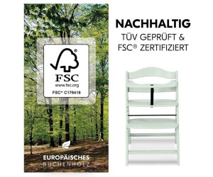Hauck Alpha Plus Mint Newborn Set, 4-tlg., Hochstuhl + 2in1 Babyaufsatz ...