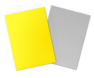 Dragon Shield Matte Dual Sleeves Standard Gooseberry, 100 Stück (AT ...