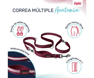 The Company of Animals Anatomy Multi Lead Hundeleine mit Bungee ...
