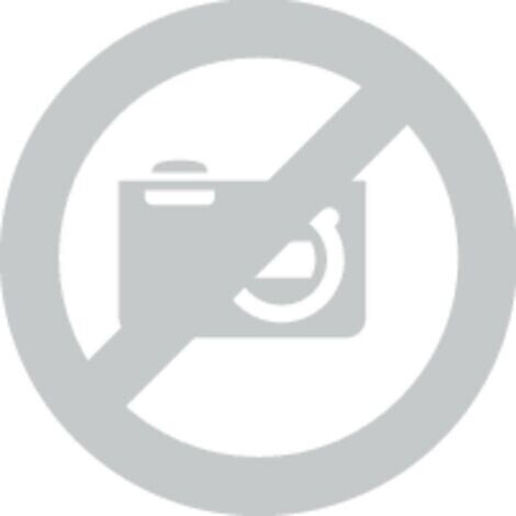 Voltcraft BS-BAT Batterie de Remplacement pour Endoscope BS-1000T (BS ...