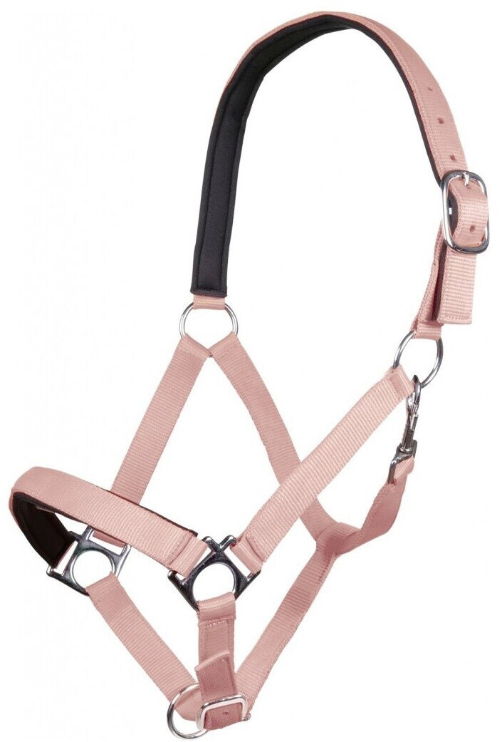 HKM Stars Softice Halfter, weich unterlegt, neon grün, Vollblut ab 9,95 ...