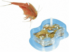 Clementoni Galileo - Original Triops Starter Set (69694) ab 10,79 ...