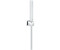 GROHE Euphoria Brausegarnitur (27231001) ab 58,12 € | Preisvergleich ...