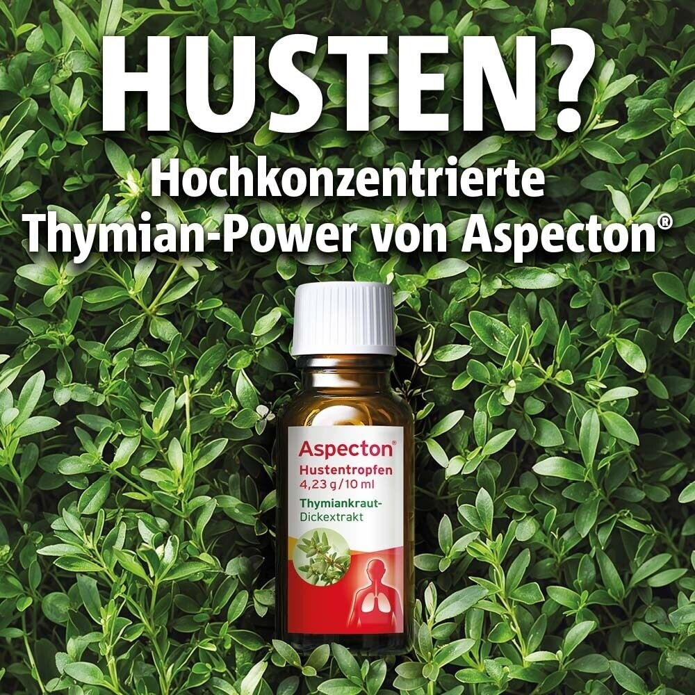 Aspecton Hustentropfen (50 ml) ab 7,87 € (Januar 2024 Preise ...