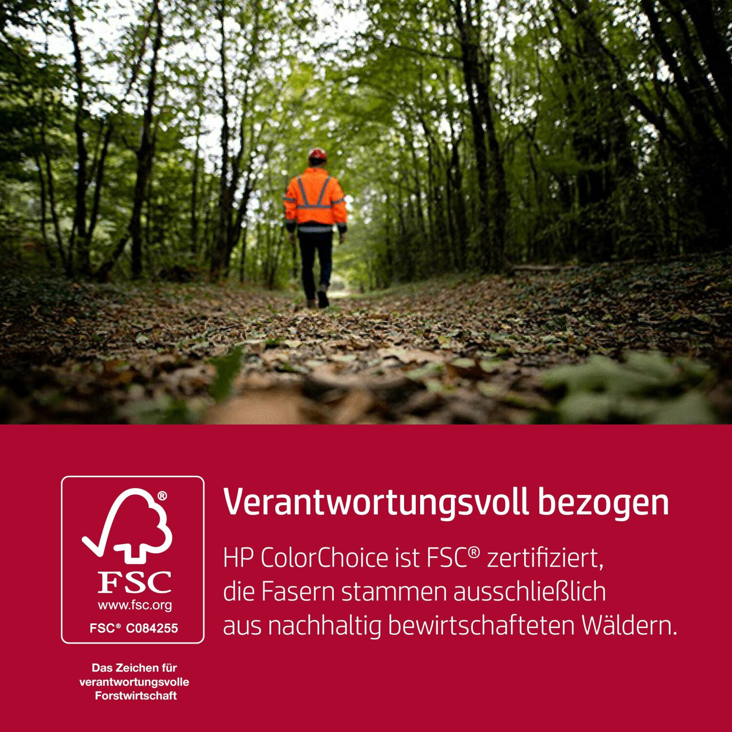 HP Colour Laser Paper A4 white (CHP350) au meilleur prix sur idealo.fr