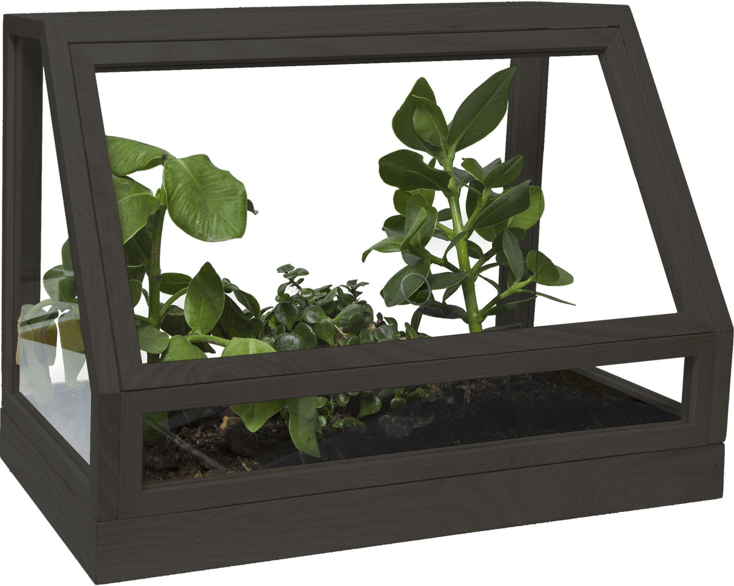Design House Stockholm Mini-Gewächshaus ab 195,08 € | Preisvergleich ...