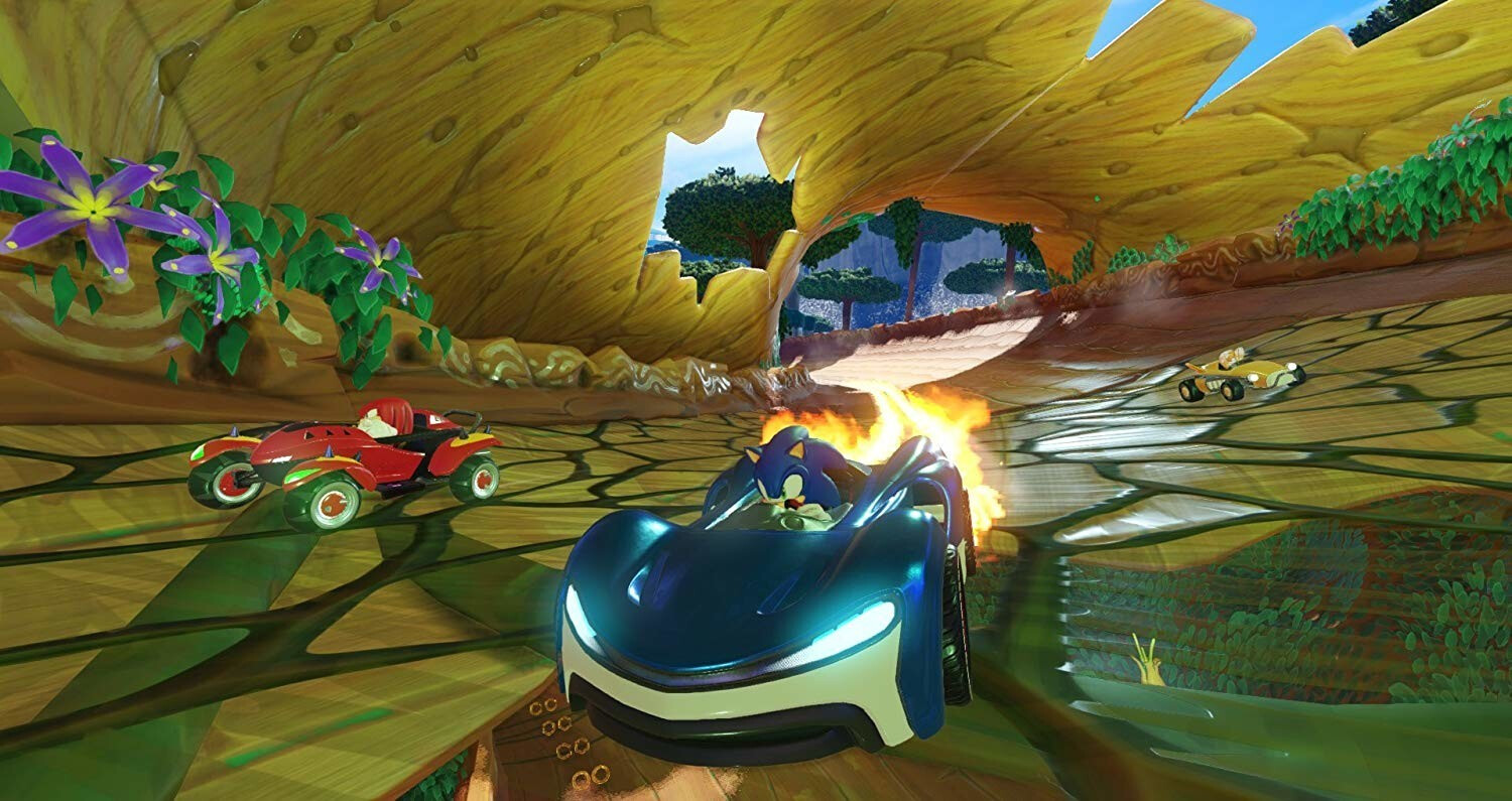 Sonic racing switch store