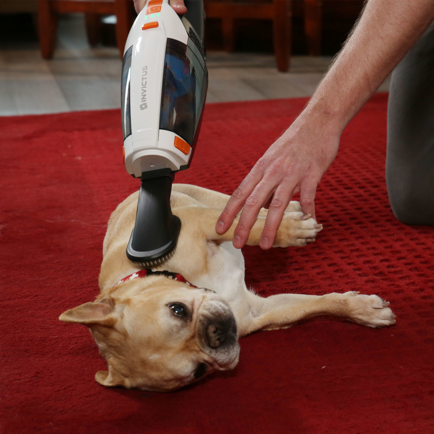 Genius Invictus M5 Set 12-tlg ab 149,85 € (September 2023 Preise ...